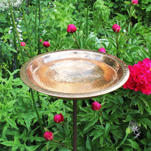 Wayfair | Extra Large Bird Baths You'll Love in 2023